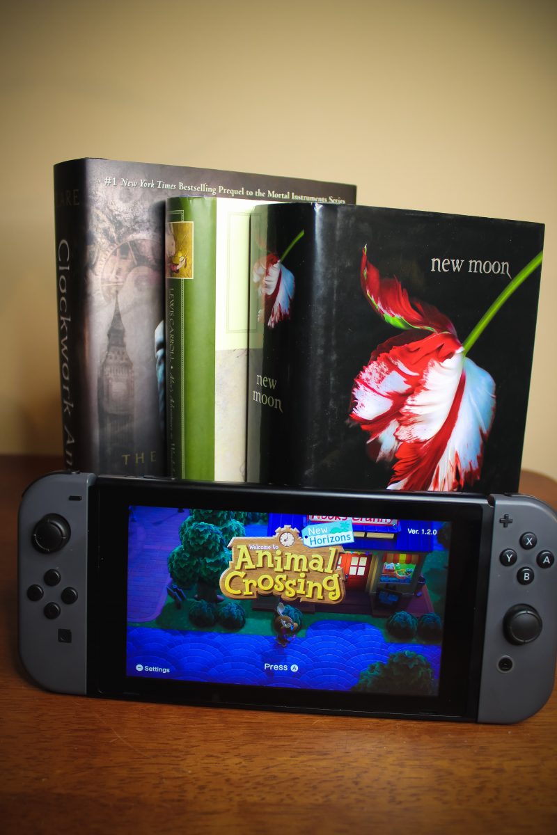 Animal Crossing New Horizons Book Tag - Mae Polzine