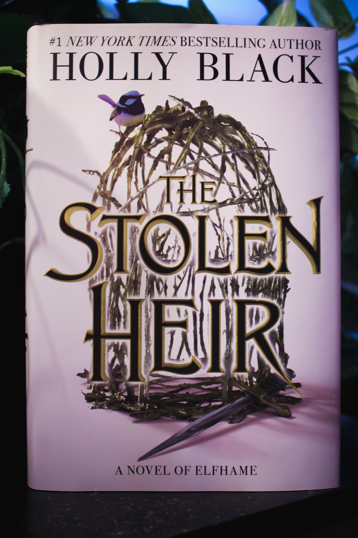 My Thoughts on The Stolen Heir (The Stolen Heir Duology, Book 1) by ...