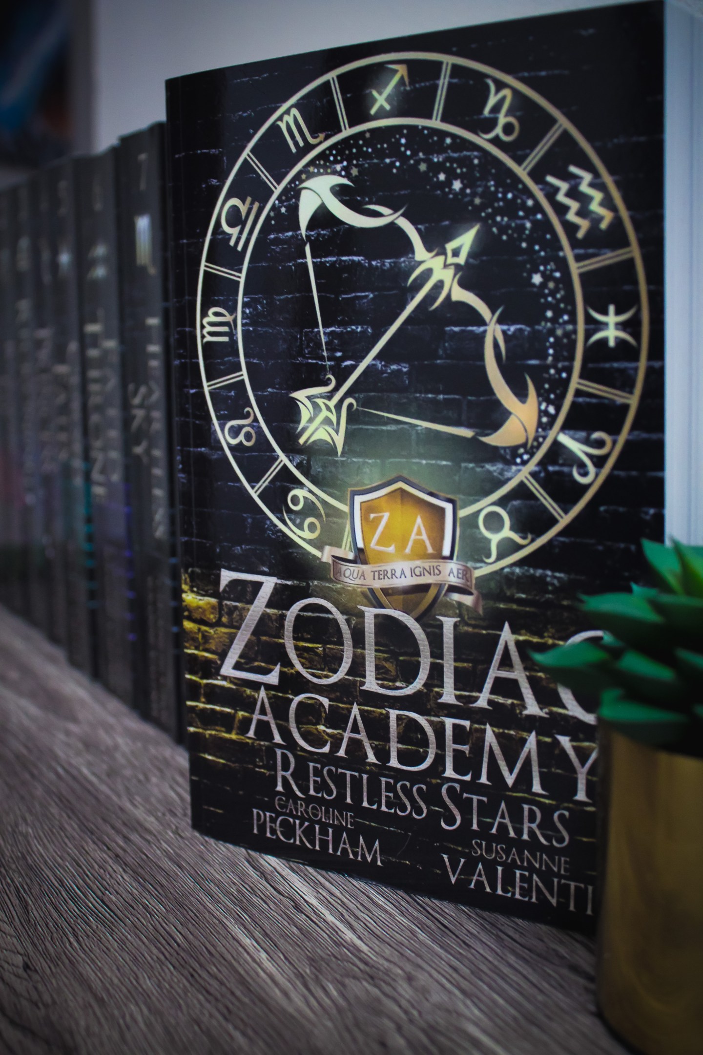 My Thoughts on Zodiac Academy Series by Caroline Peckham and Susanne ...