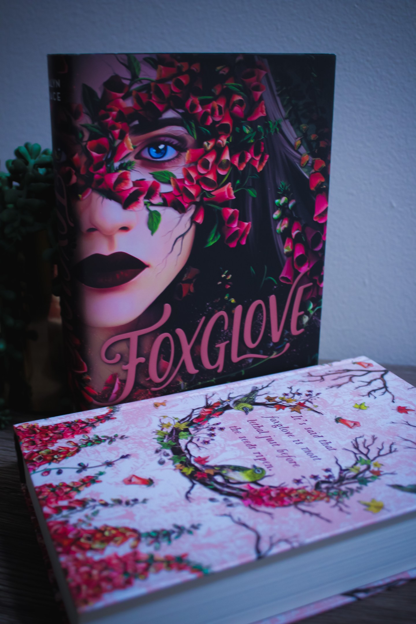 My Thoughts on the Belladonna Series by Adalyn Grace – Mae Polzine