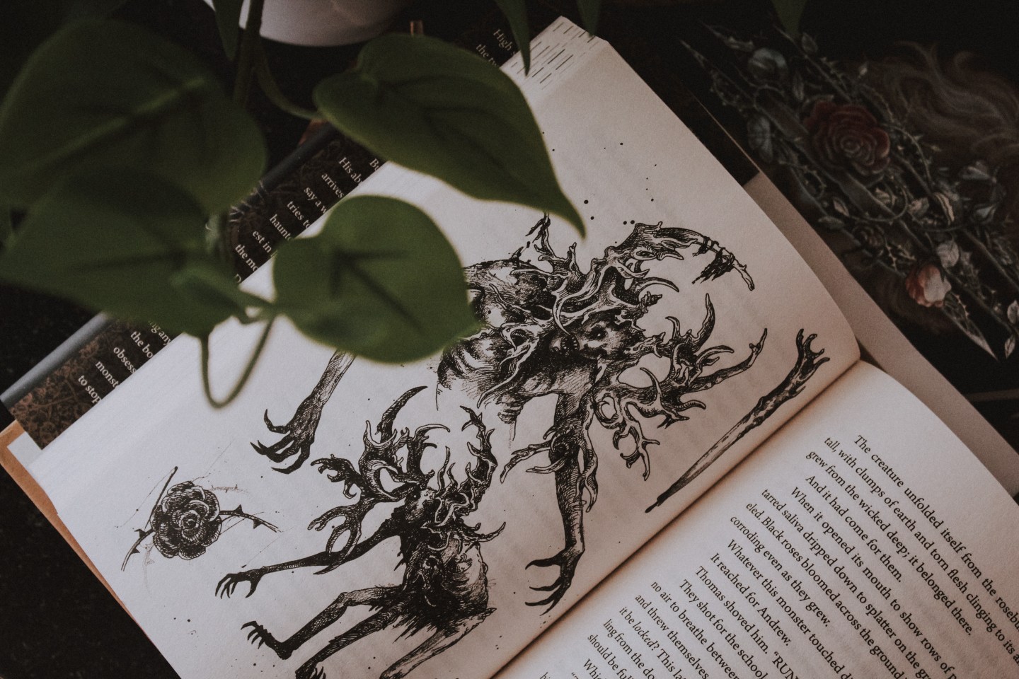 My Thoughts on Don’t Let the Forest In by CG Drews - Mae Polzine