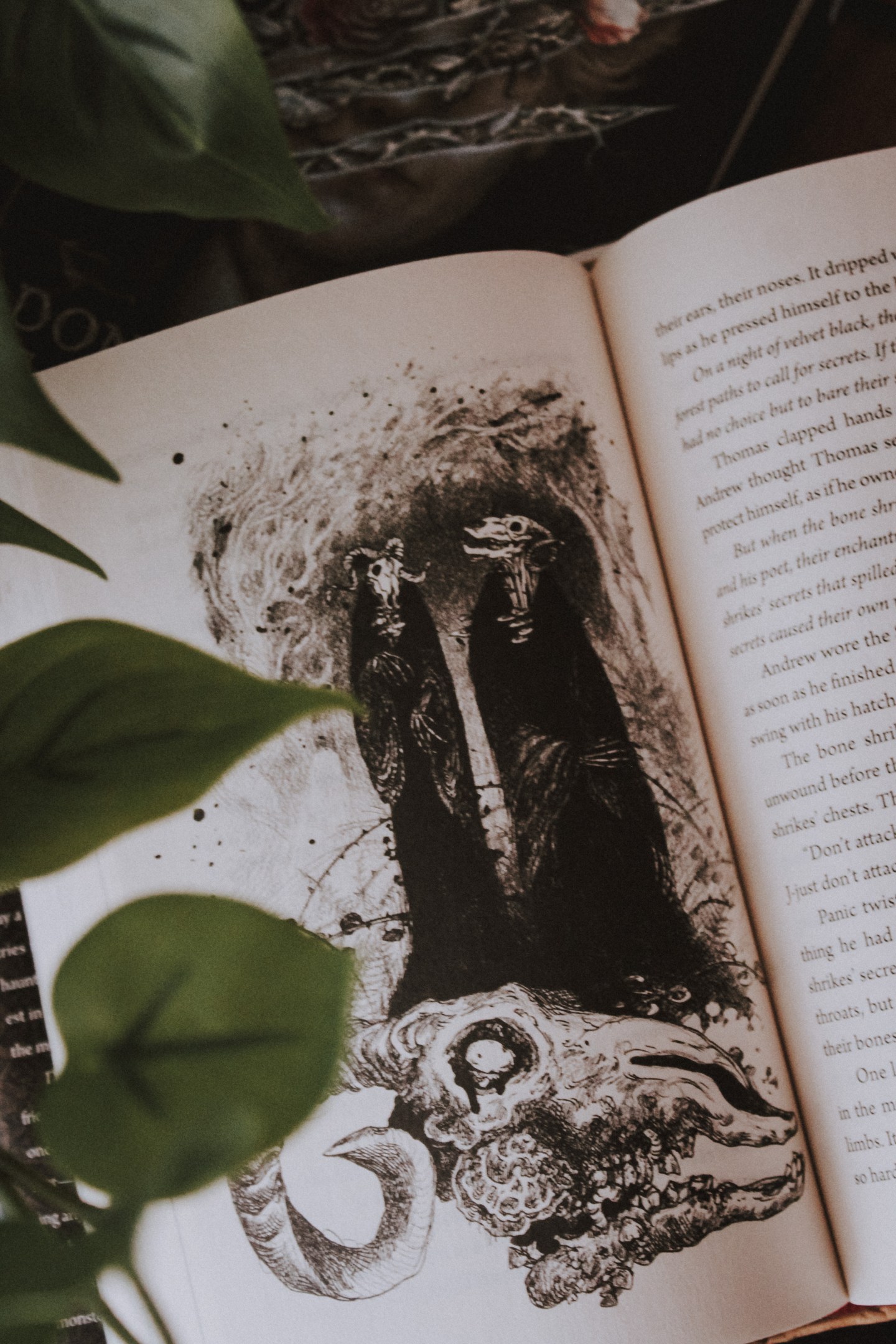 My Thoughts on Don’t Let the Forest In by CG Drews - Mae Polzine